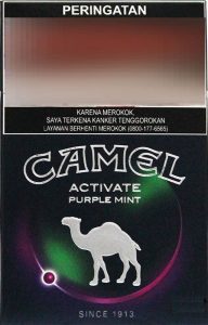 Camel Purple Mint